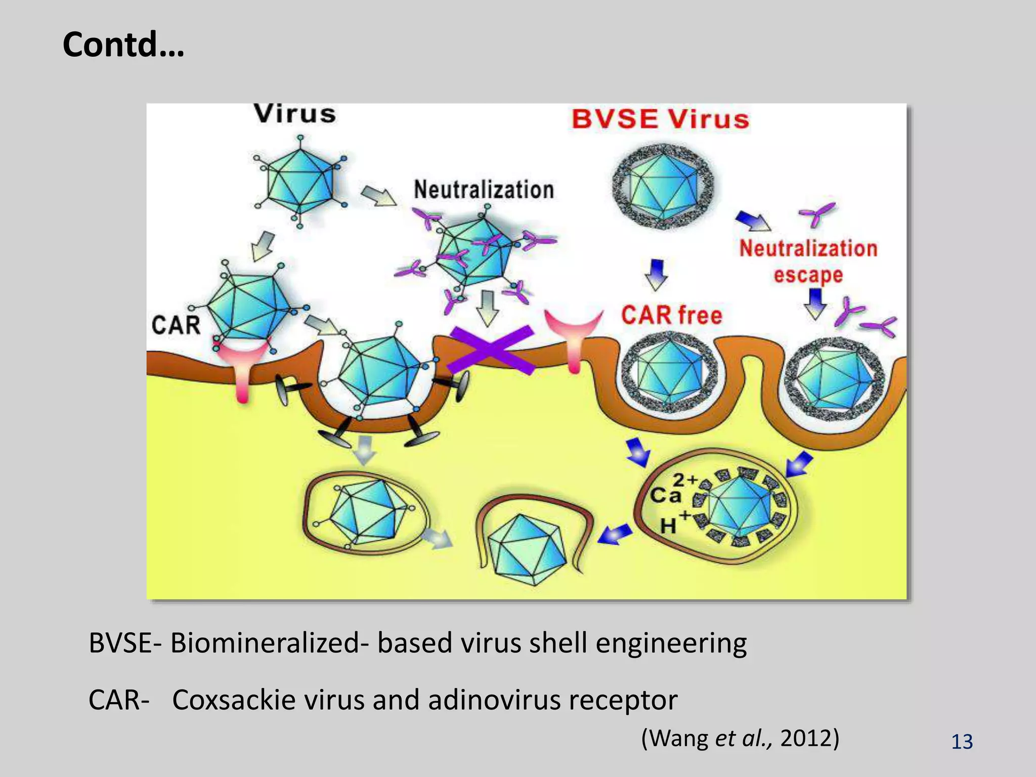 viral nanoparticles | PPTX