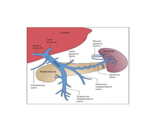 Anatomy of spleen and its blood supply.ppt