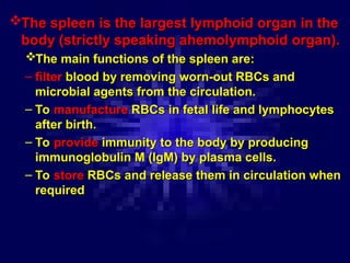 Anatomy of spleen and its blood supply.ppt