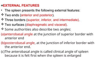 Anatomy of spleen and its blood supply.ppt