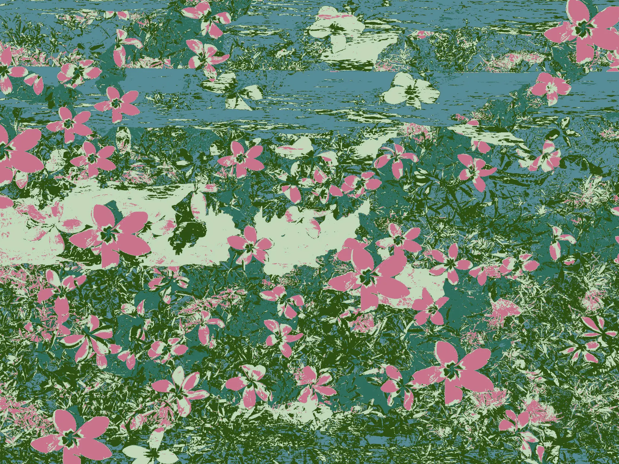 Digital Surface Design LookBook Malia Anderson | PDF