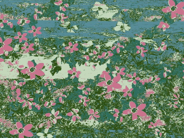 Digital Surface Design LookBook Malia Anderson | PPT