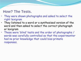 Savage Rumbaugh ppt | PPT