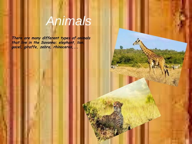 Savanna | PDF