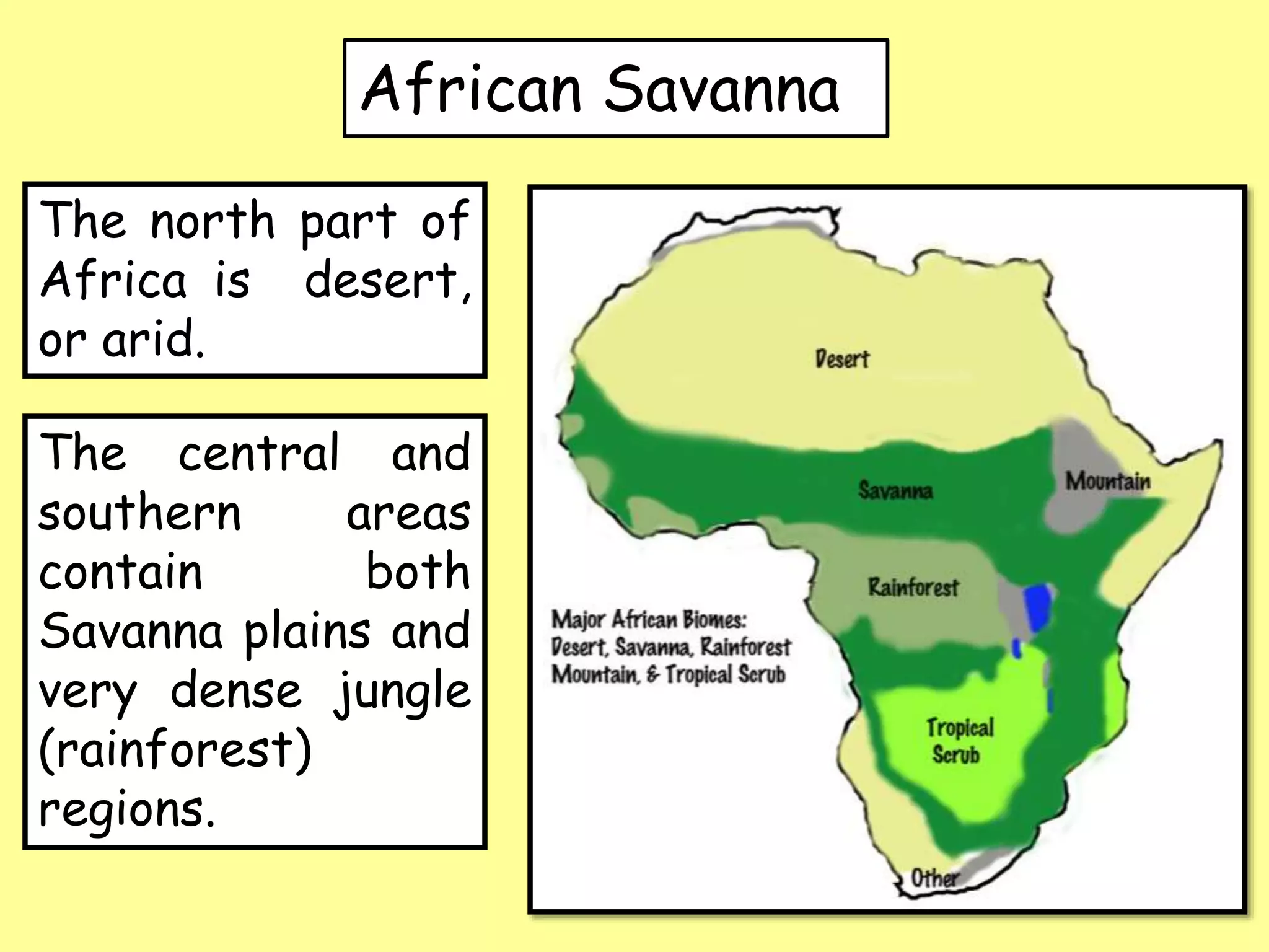 savanna.ppt
