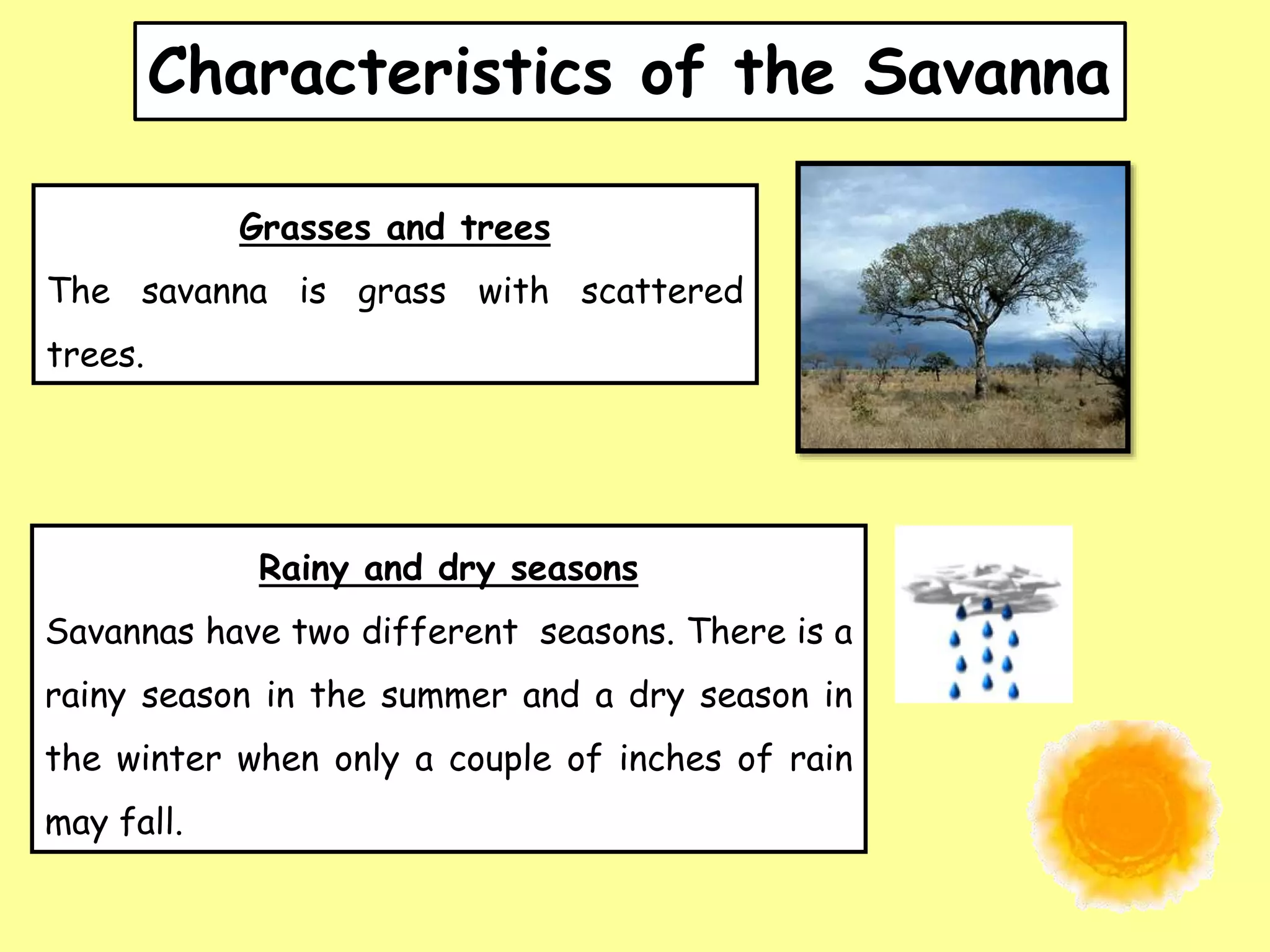 savanna.ppt