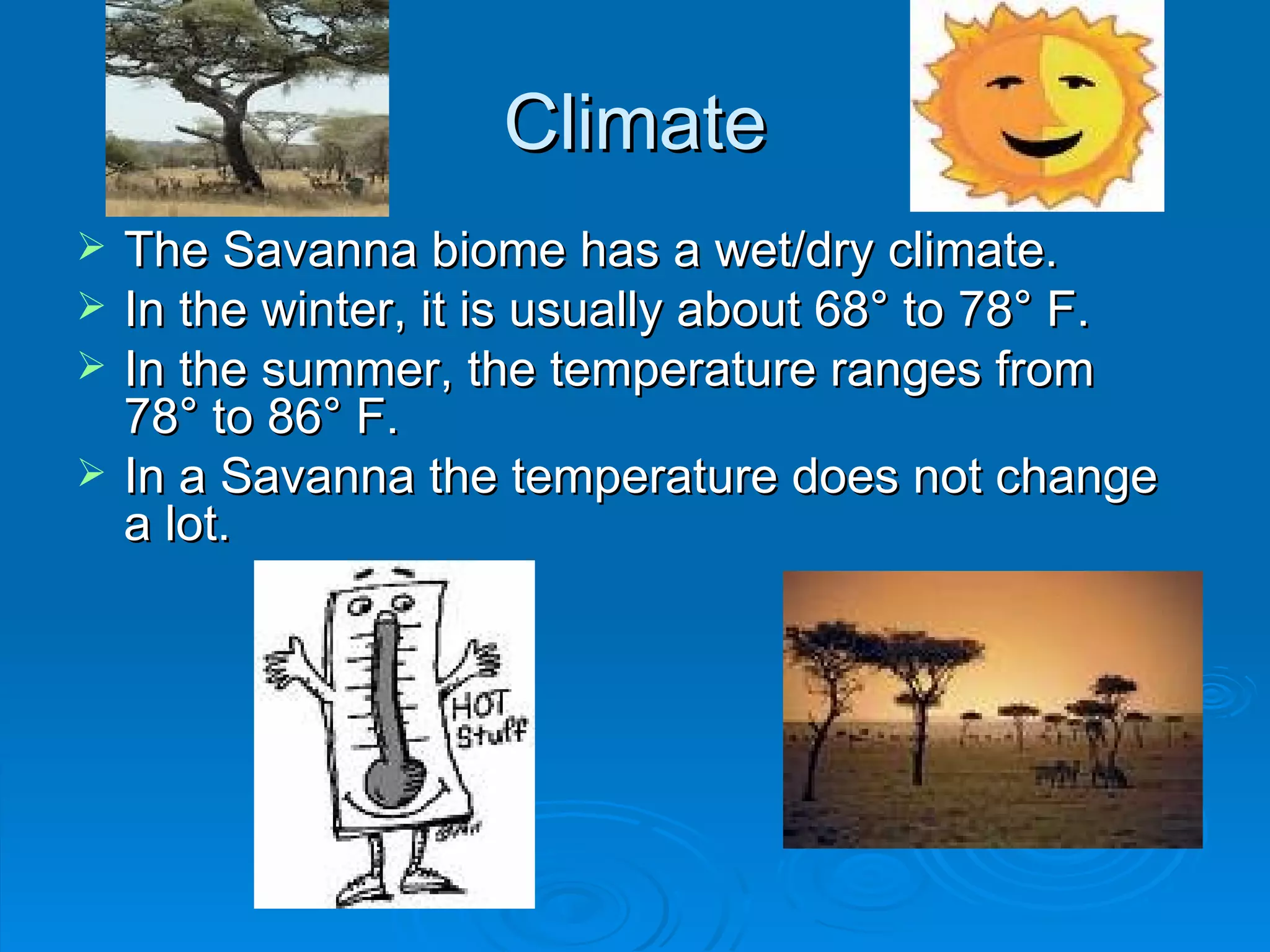 Savanna D.W. J.S. | PPT