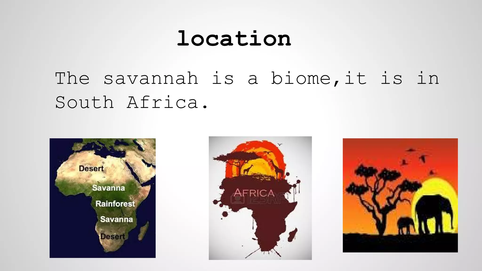 Savanna biome salim | PDF