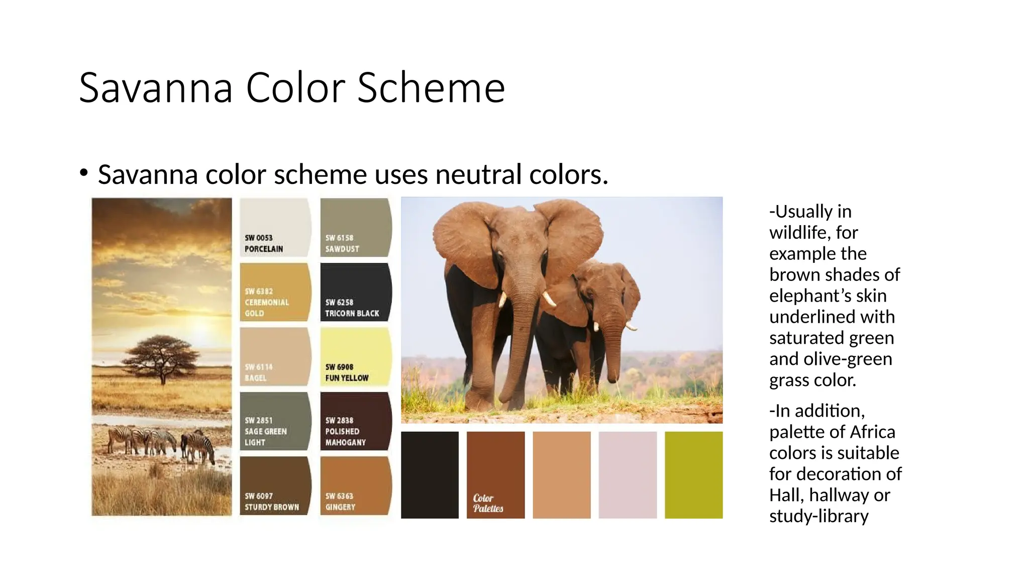 Savanna Color Scheme architecture and design | PPTX