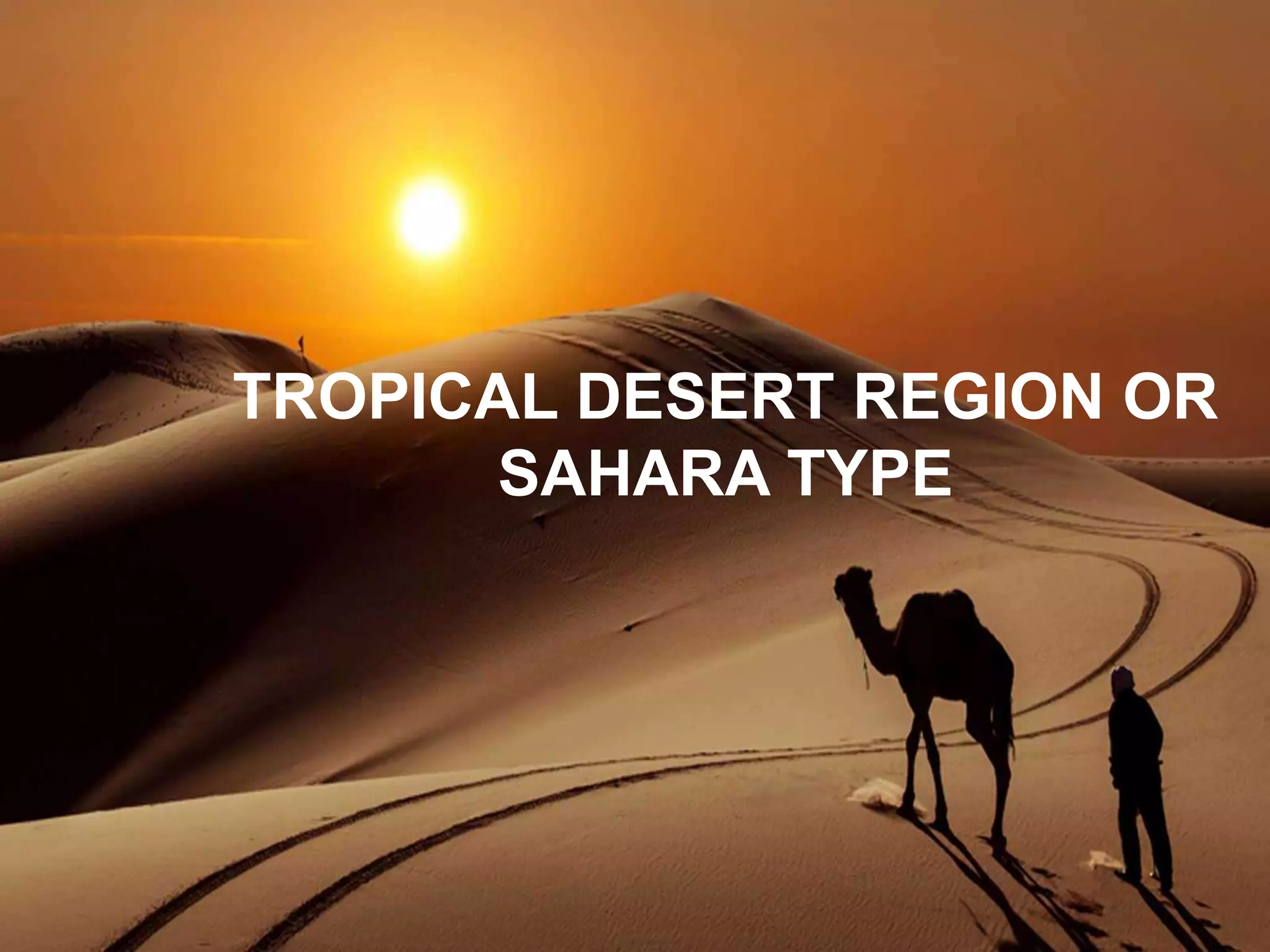 tropical regions - Sudan and Sahara types | PPTX