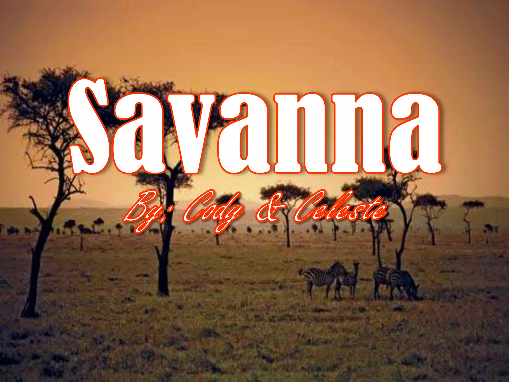 Savanna presentation 1 26-12 | PPTX