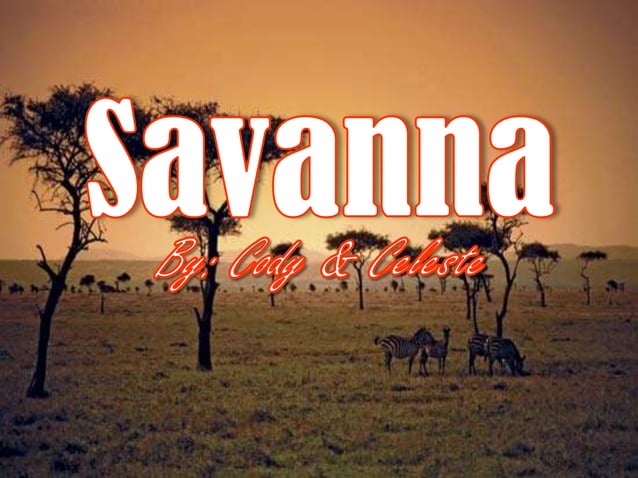 Savanna presentation 1 26-12 | PPT