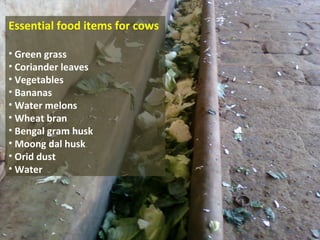 Save cowsv2 | PPT