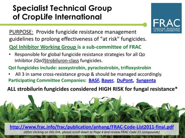 Save strobies-presentation | PPT