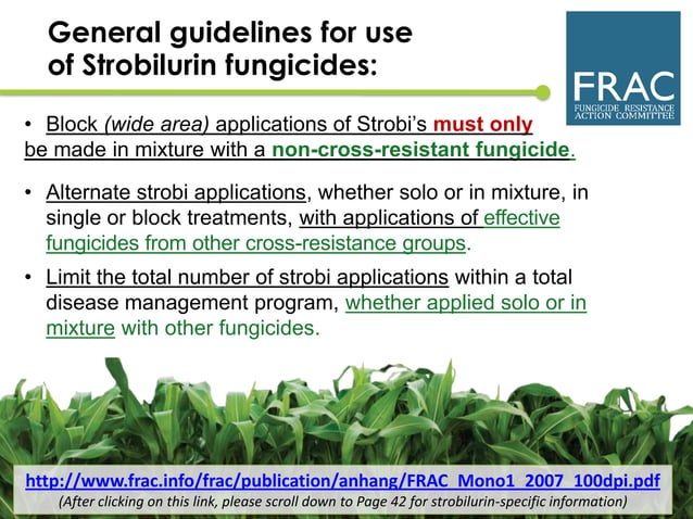 Save strobies-presentation | PPT