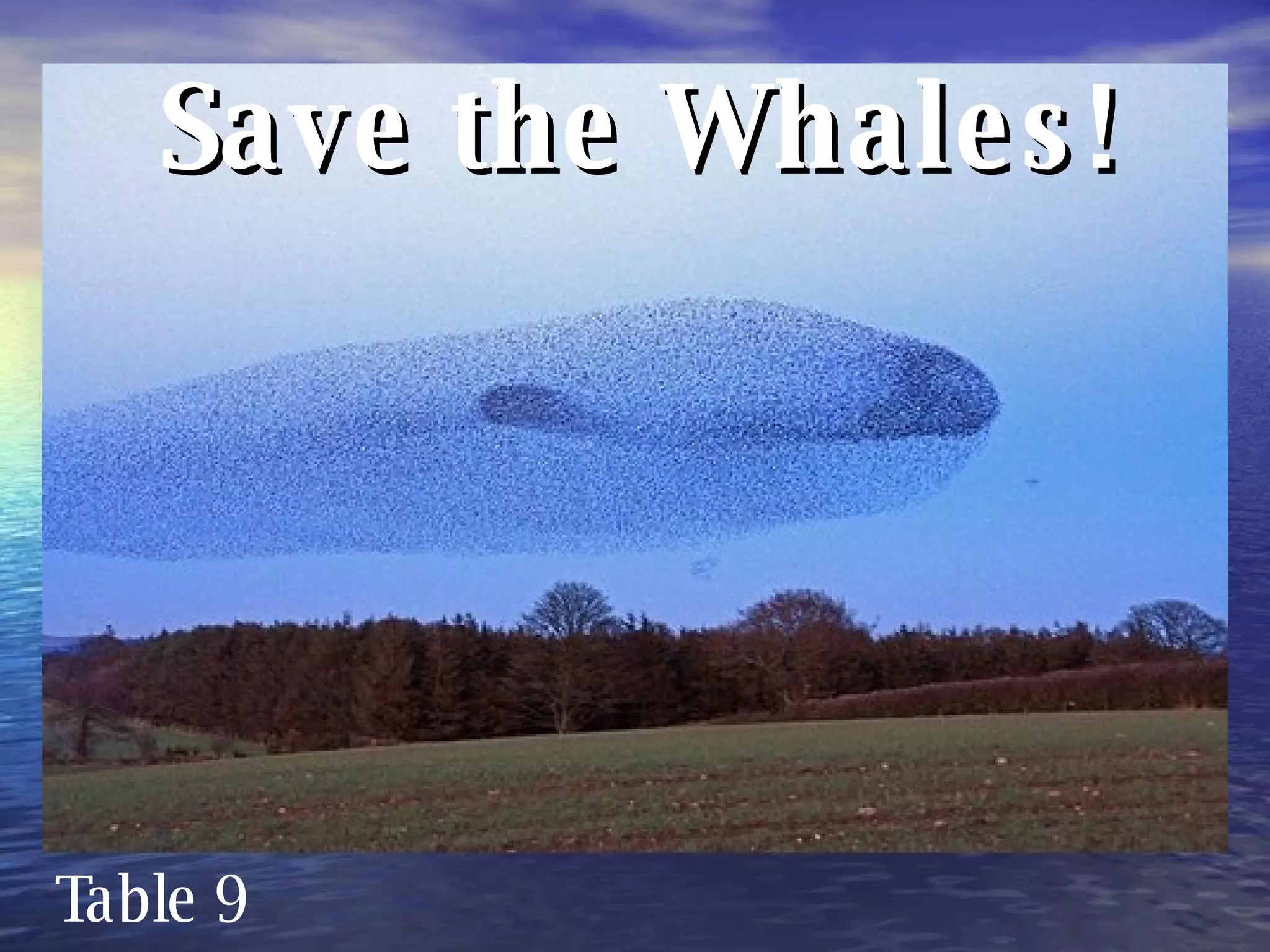 Save The Whales! | PPT