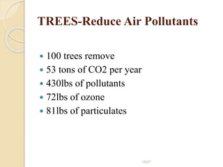 Save tree save earth | PPTX