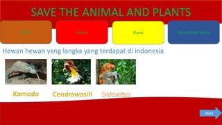 Save Animal And Plants.pptx