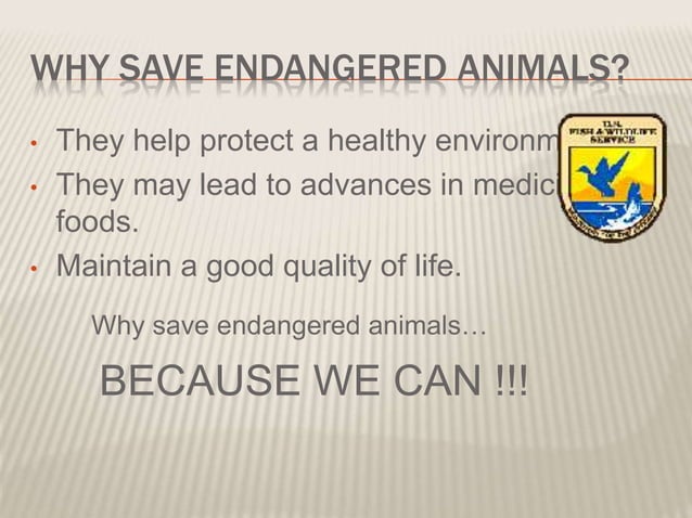 Save animals | PPTX | Environment | Science