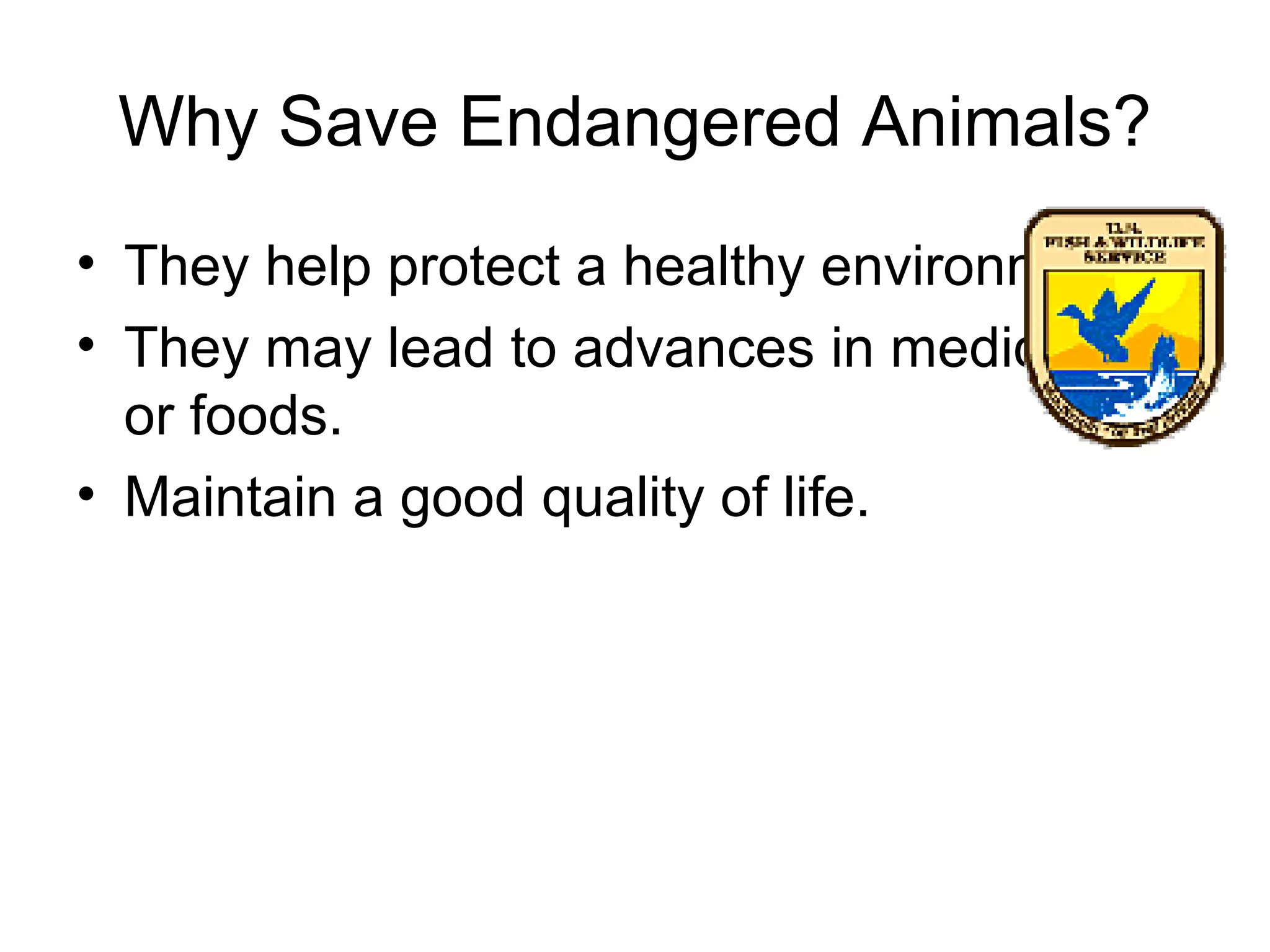 Save animals | PPT