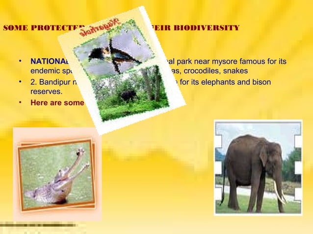 Save animals | PPT | Zoos & Aquariums | Attractions