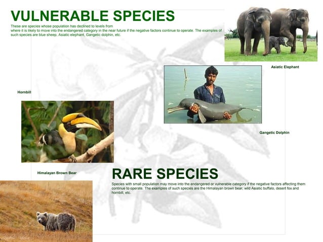 Save animals | PPT | Zoos & Aquariums | Attractions