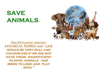Save Endangered Species Slogans