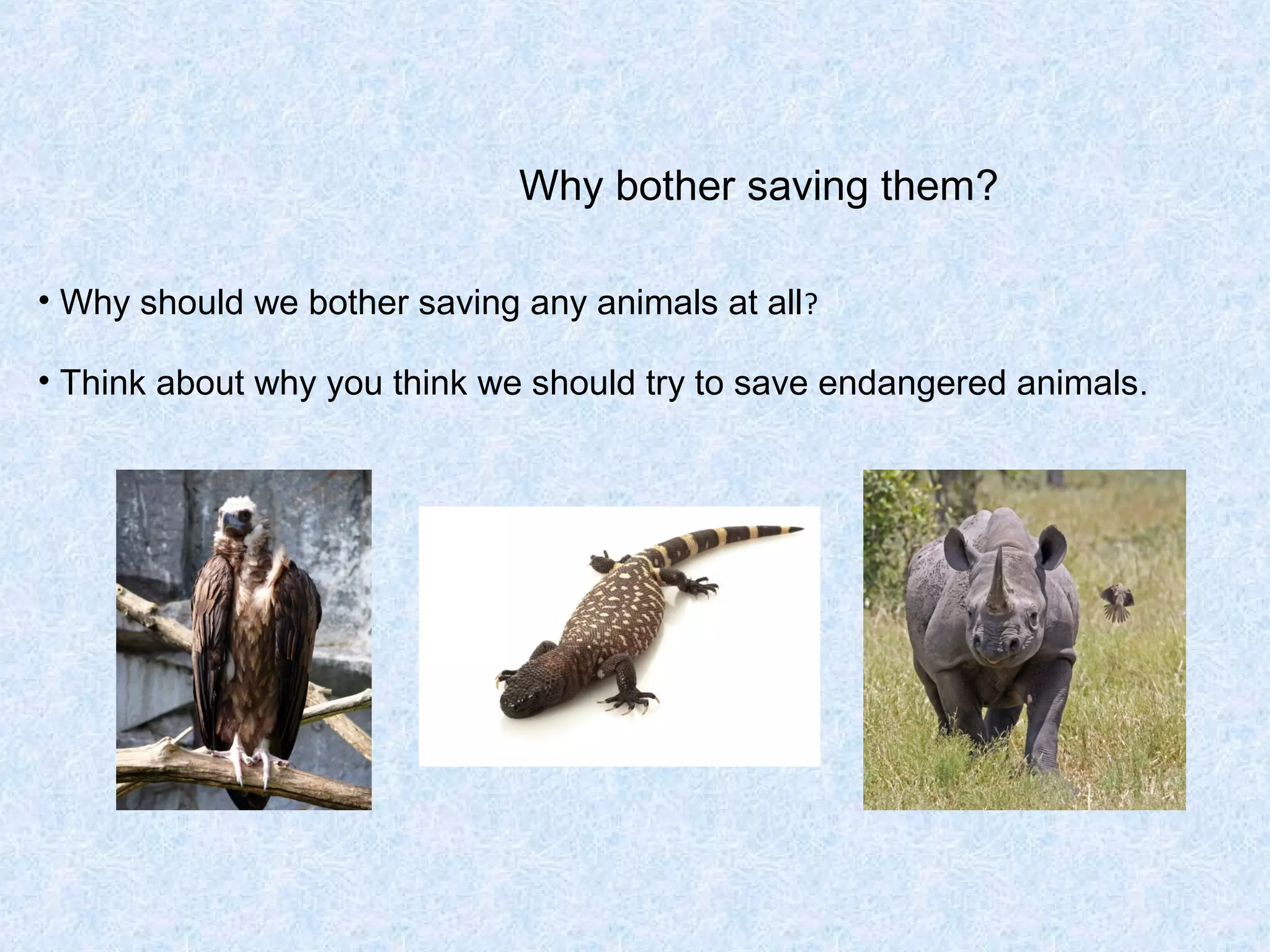 Save animals 2 | PPT