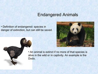 Save animals 2 | PPT