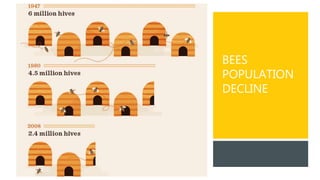 Save bees, save humanity | PPTX