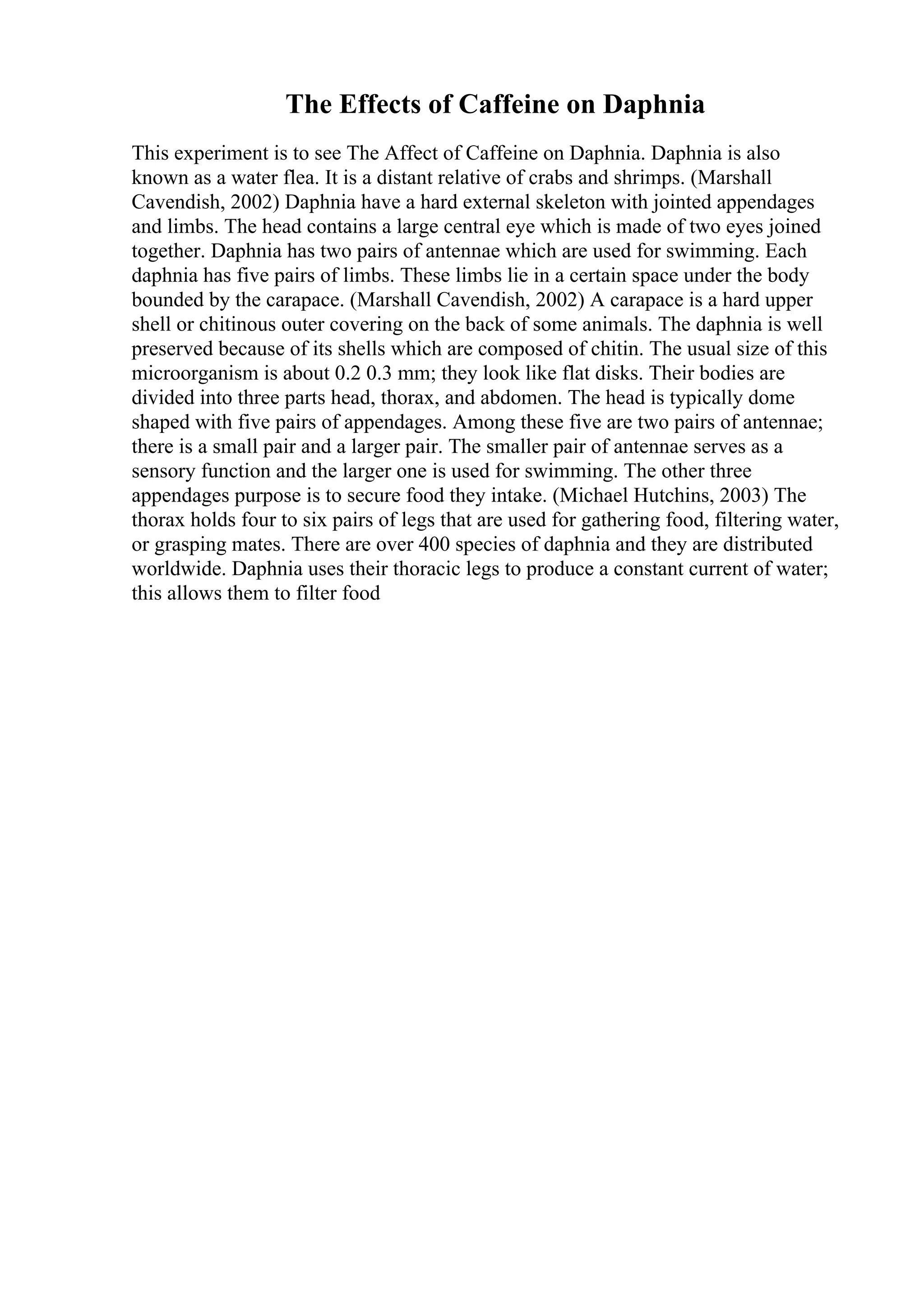 Save Electricity Essay.pdf