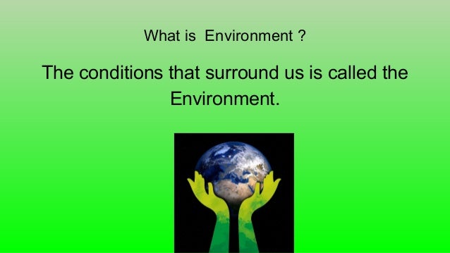 Save environment | PDF
