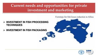 Support to post-harvest fisheries technology | PDF