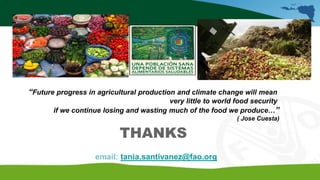 Improving food security in Latin America and the Caribbean by reducing ...