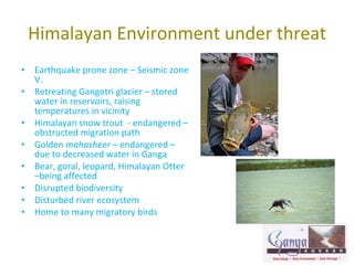 Save Ganga Presentation By Mallika Bhanot | PPT