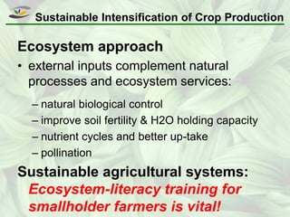 SAVE & GROW: Sustainable Rice Intensification and Ecosystem Literacy ...