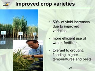 SAVE & GROW: Sustainable Rice Intensification and Ecosystem Literacy ...