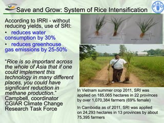 SAVE & GROW: Sustainable Rice Intensification and Ecosystem Literacy ...