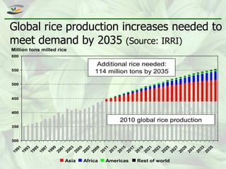 SAVE & GROW: Sustainable Rice Intensification and Ecosystem Literacy ...