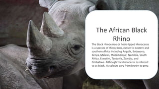 Endangered species | PPT