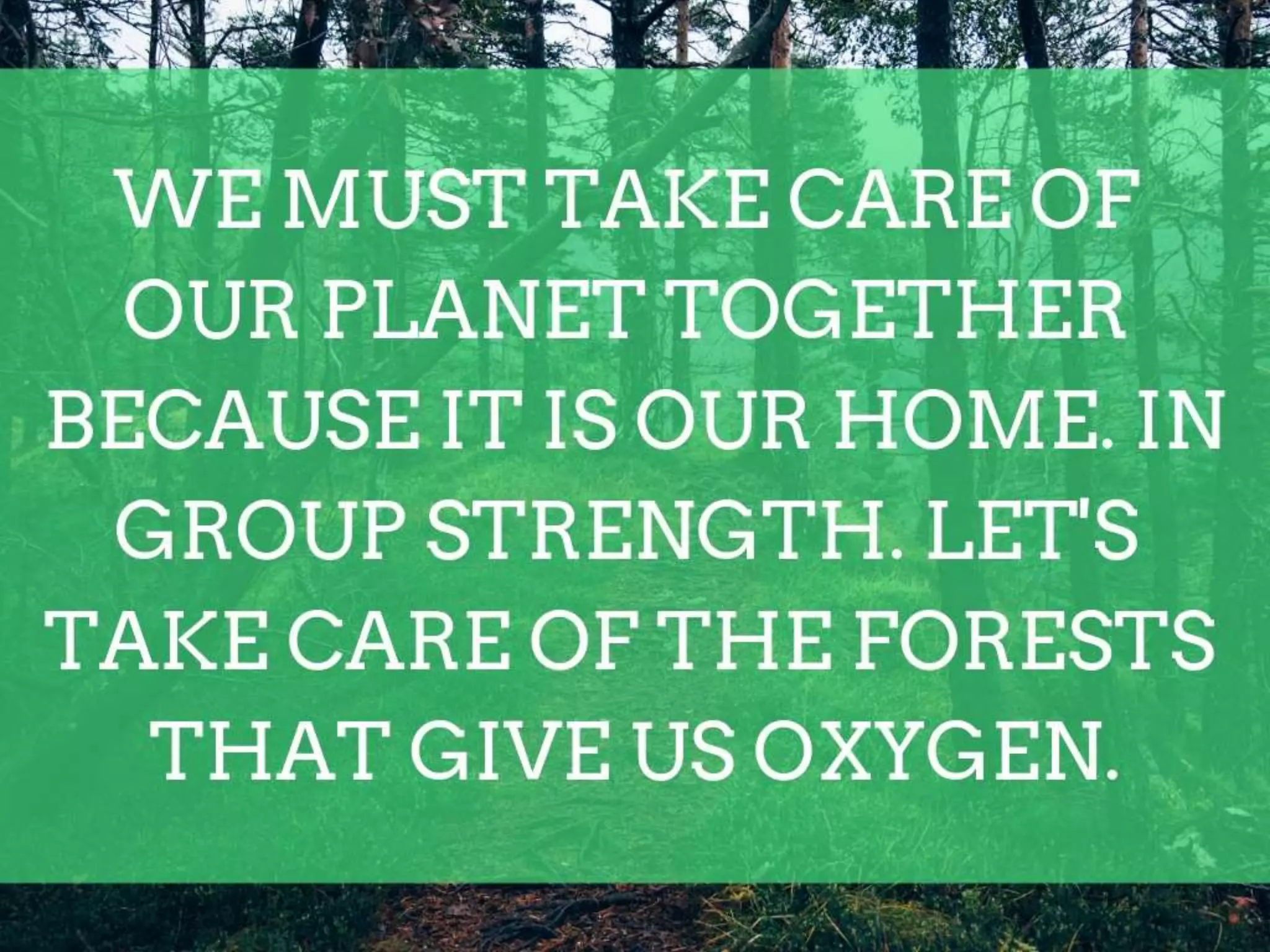 Save our forest | PPT