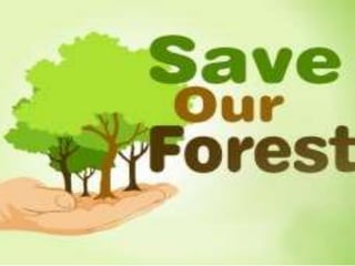Save our forest | PPT