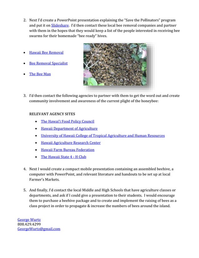 Save Our Pollinators (WORD 2010) | DOCX