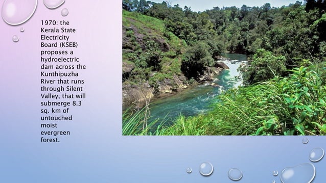 Save silent valley | PPTX | Environmental Services Industry | Industries