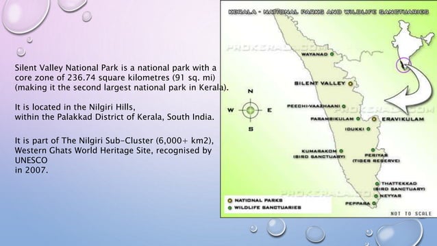 Save silent valley | PPTX | Environmental Services Industry | Industries