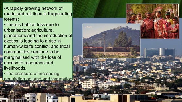 Save Silent Valley Movement & Save Western Ghats Movement | PPTX | Zoos & Aquariums | Attractions