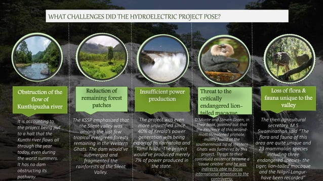Save Silent Valley Movement & Save Western Ghats Movement | PPTX | Zoos ...
