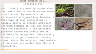 Save soil (22-CS).pptx