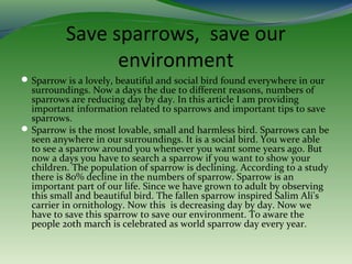 MOUNT ABU PUBLIC SCHOOL PROJECT Save sparrow project | PPT