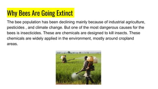 Save the Bees | PPTX